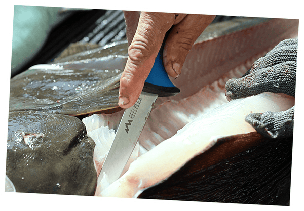 ReelFlex Pak Fillet Knife Set – 4-Piece Kit with German 4116 Steel Blades